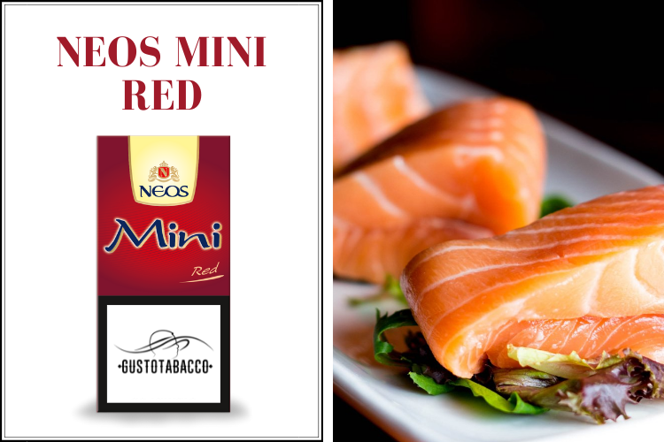 Neos Mini Red - Gusto Tabacco