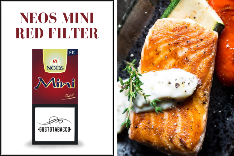 Neos Mini Red Filter - Gusto Tabacco